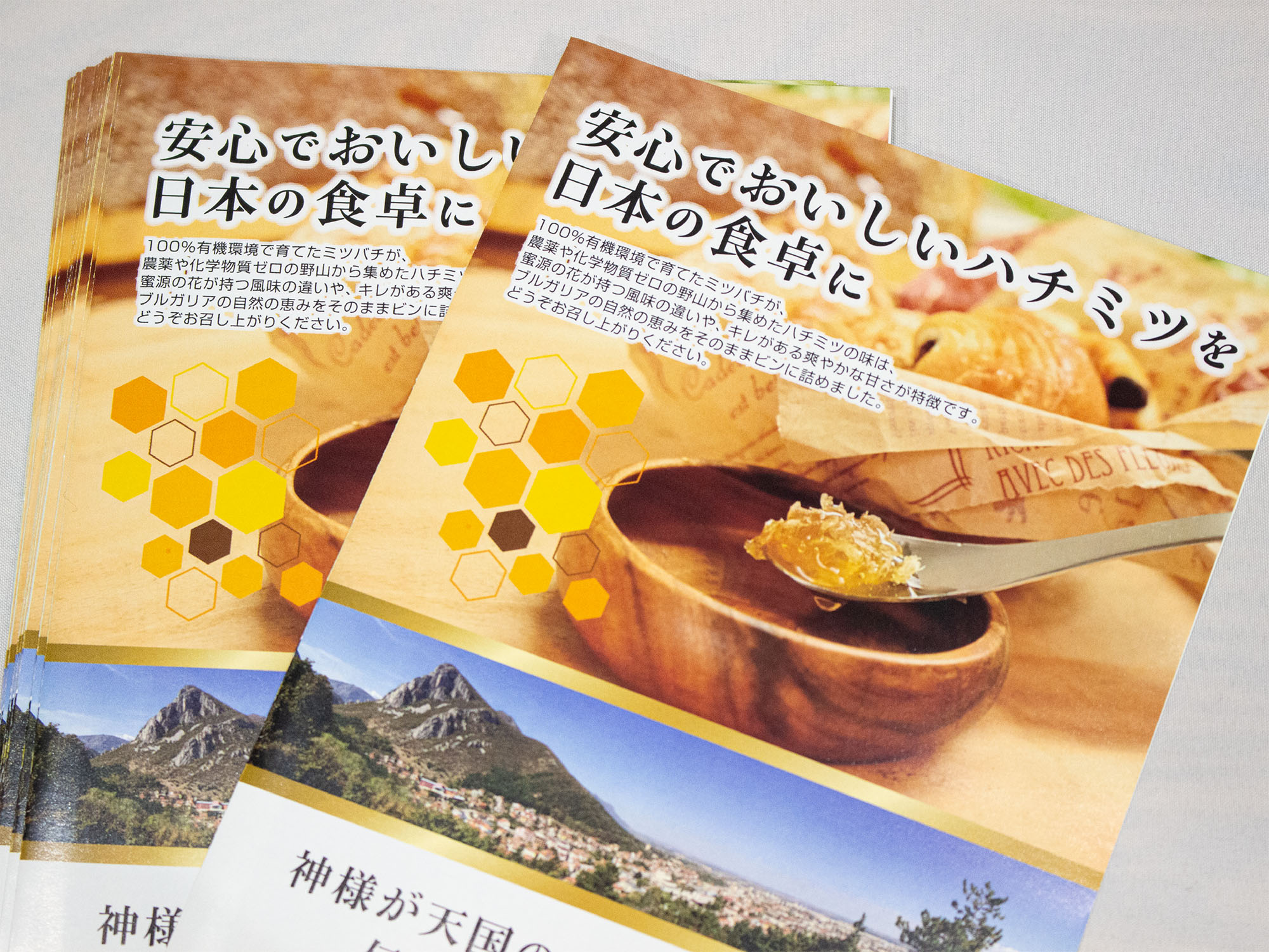 ブルガリア・ビー・ガーデン ハチミツ | Tanaringo